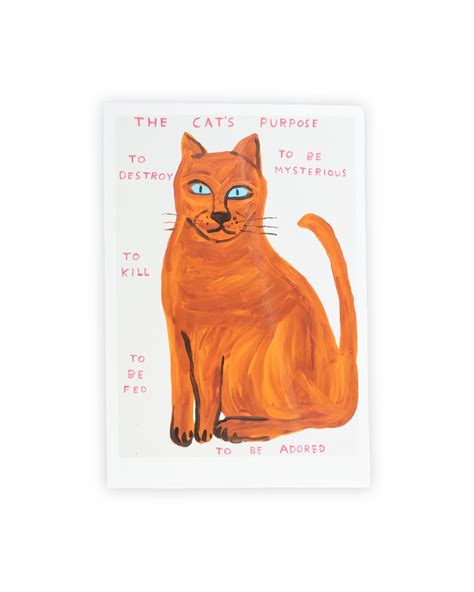 Kort The Cats Purpose David Shrigley Göteborgs Konstmuseum Webbutiken