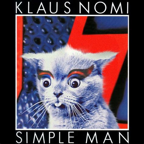 73 Cat Album Covers Ideas Album Covers Cats Kittens