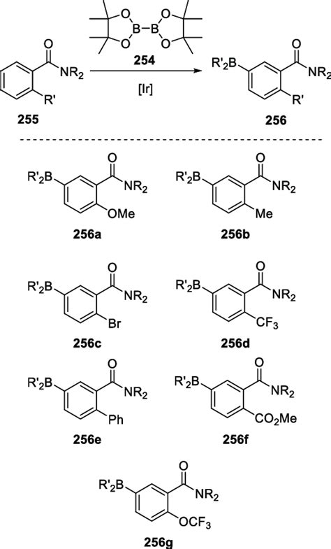 A Concept Of Hb Directed Selective C−h Activation And B Urea Download Scientific Diagram