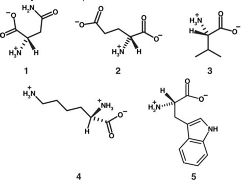 Solved A Identify The Three Letter Code Of Amino Acid