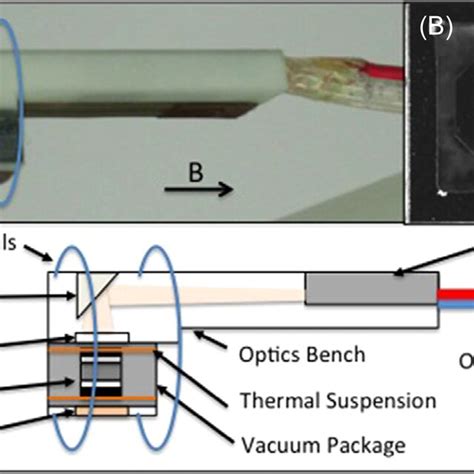 Scheme Of Fiber‐coupled Atomic Magnetometer Of Nist³⁶ Download