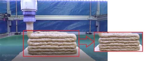 Extraction Of Region Of Interest Roi Download Scientific Diagram