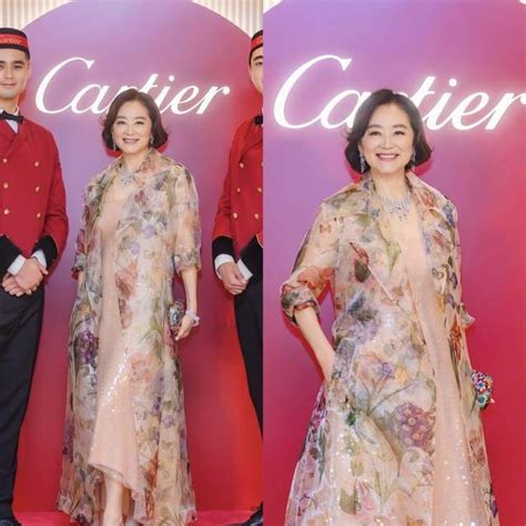 珠宝晚宴，林青霞优雅莫文蔚松弛，何超莲何超琼亲密牵手杨紫琼 搜狐大视野 搜狐新闻