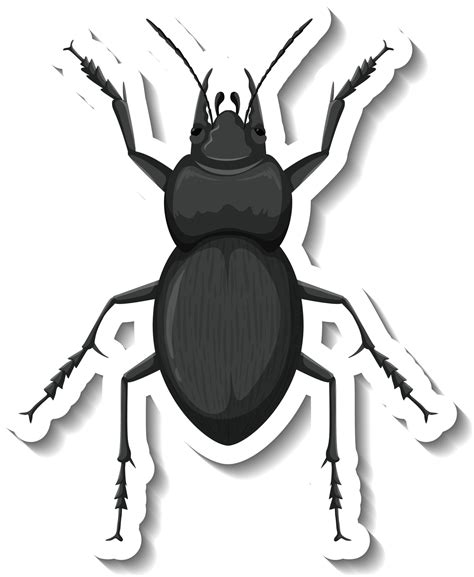 Beetle Template