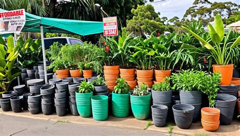 Best Places To Score Large Plastic Garden Pots Cheap In Australia