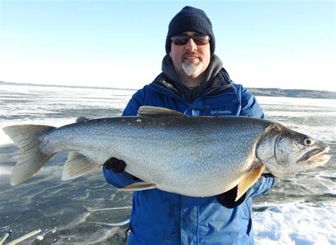 Flag Attachment Jaw Jacker Fishing Ice Fishing Supplies