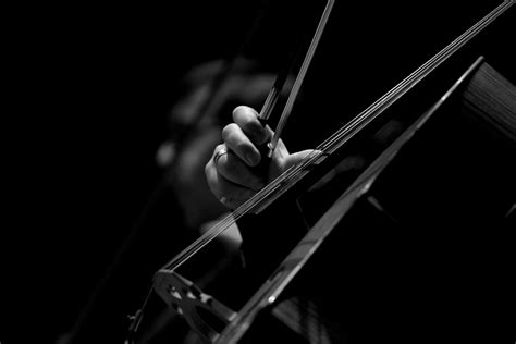 Bowed Strings String Basics — Timbre And Orchestration Resource