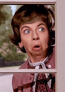 Bewitched 1964 1972 Abc — Alice Pearce As Gladys Kravitz 1964 1966