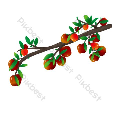 Apple Hanging On A Branch Png Images Psd Free Download Pikbest