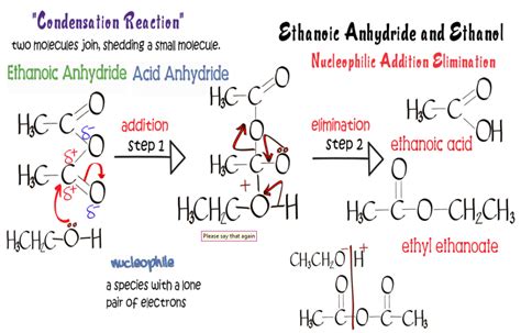 Ester Vs Anhydride At Gary Matthews Blog