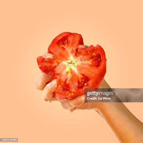 Squished Tomato Photos And Premium High Res Pictures Getty Images