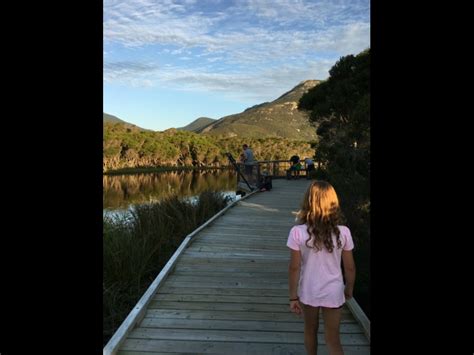 Loo Errn Track Wilsons Promontory Walking Maps