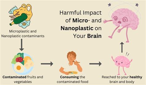 Microplastic And Nanoplastic Harms The Brain Research Talk Biowellbeing
