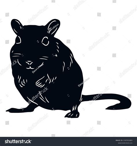 Gerbil Front Cut Out High Quality Stock Vector Royalty Free