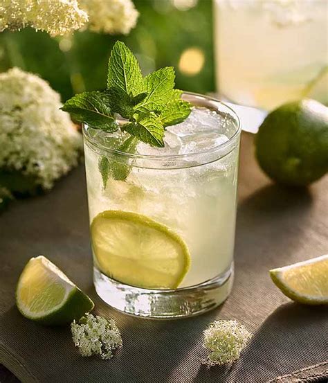 Opskrift På Hugo — Bareéncocktail