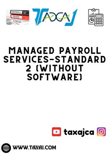 Managed Payroll Services Standard 2 Without Software At ₹ 200month