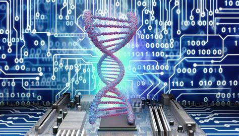 Exploring Genetic Algorithms In Evolutionary Computation Studies
