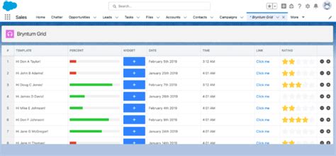 Using Bryntum Grid As A Salesforce Lightning Web Component Bryntum