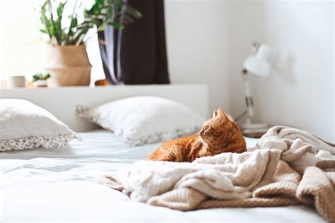 丰兹凡与您相约2019521 24厦门东西部大会 丰茲凡 Fuzzifrand