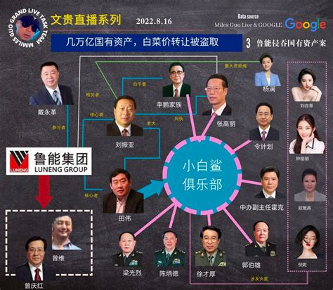 🌸🌸东京樱花🌸🌸战友互粉 On Twitter 鲁能 侵吞国有资产案和玩过的女星 曾庆红 曾维 戴永革 徐才厚 刘亦菲 倪妮