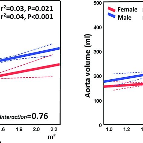 Association Of Aorta Size And Body Surface Area Bsa The Association