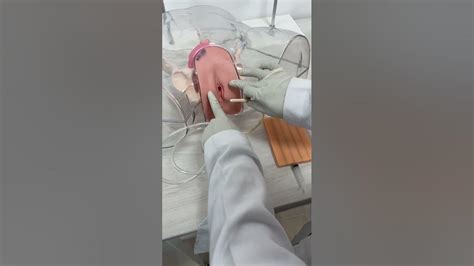 Female Urine Catheterization By Dr In Hindi Youtube