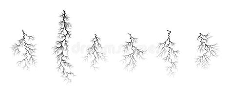 Set Of Different Roots Plant Root System Stock Vector Illustration
