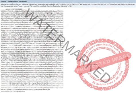 Snc Saprouter Step By Step Technical Guide 2025
