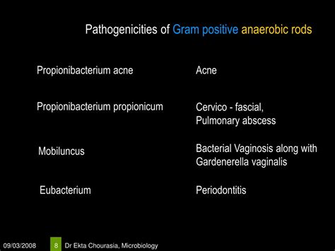 Ppt Non Sporing Anaerobes Powerpoint Presentation Free Download Id