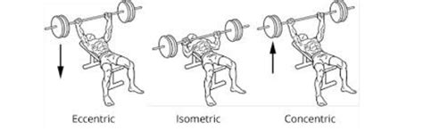Isometric Contraction Sporting Example