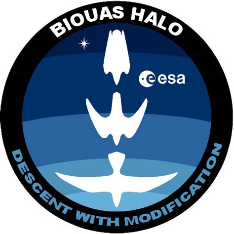 Bio Inspired Morphing Wing Uav For Deployment From Haps And Orbit Nebula Public Library