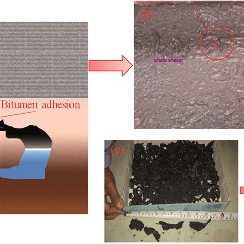 Bitumen Encountered During The Drilling Of The H Oilfield A