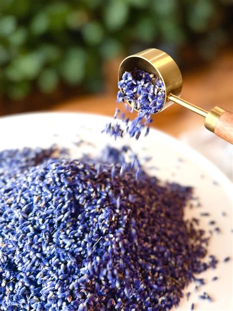 The Ultimate Guide To Cooking With Culinary Lavender Flavor Recipes