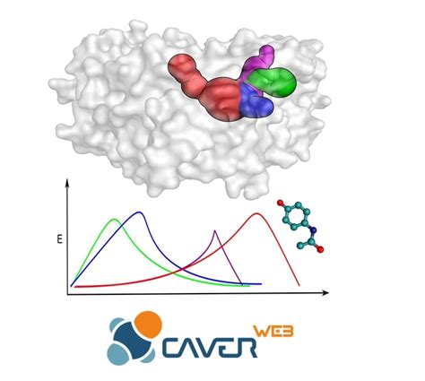 Toccaverweb Protein Engineering Group