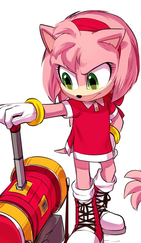 Movie Amy Rose Fan Art At Elizabeth Mitchem Blog