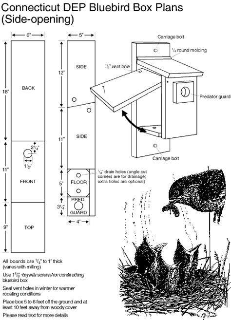 Bluebird House Plans And Instructions