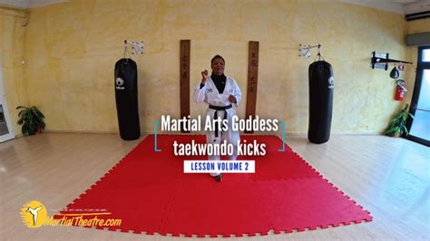 Martial Arts Goddess Taekwondo Kicks Lesson Volume 2 Martial Fetish Clips4sale