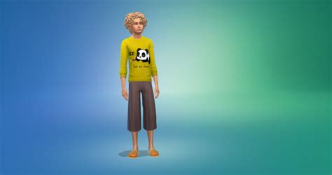 Schlafender Panda Packet Sleeping Panda Packet Uncategorized