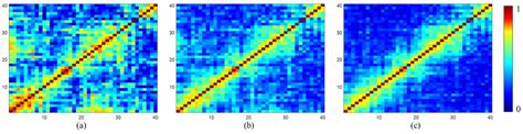 Coherence Matrix Estimation With A Window Of 5×5 Pixels A Sample Download Scientific Diagram