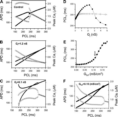 Effects Of Fibroblast Myocyte Coupling On Calcium Driven Alternans In Download Scientific