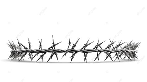흰색 배경에 금속 강철로 만든 철조망의 고립 된 3d 그림 가시 철사 철조망 철 울타리 배경 일러스트 및 사진 무료
