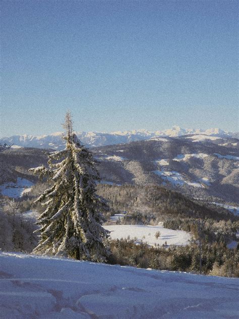 Landscape Charts Photos Download The Best Free Landscape Charts Stock