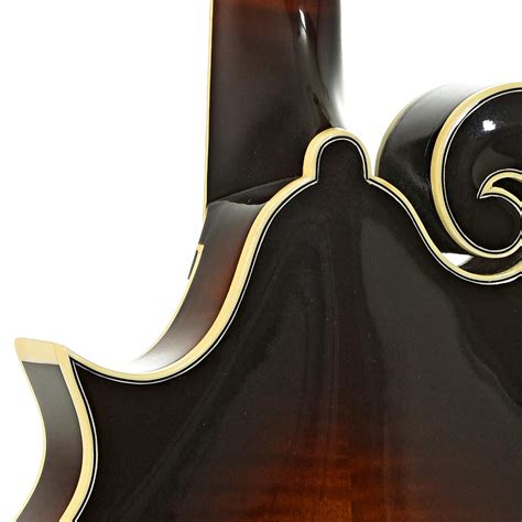 Triggs F 5 Mandolin 2015 Elderly Instruments