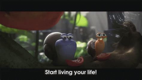 You Need To Relax A Little  Turbo Snail L Ife Advice Discover