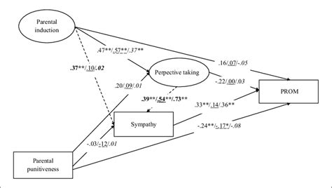 The Hypothesized Structural Model Showing The Multigroup Sem Results By Download Scientific