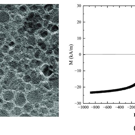 A Tem Image Of Nanoparticles B Vsm Magnetization Curve For The