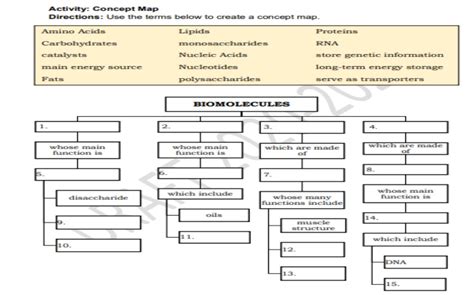 Nucleic Acids Concept Map