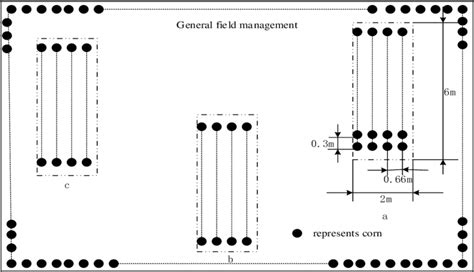Experiment Sample Design Experimental Design Measuring Plant Height