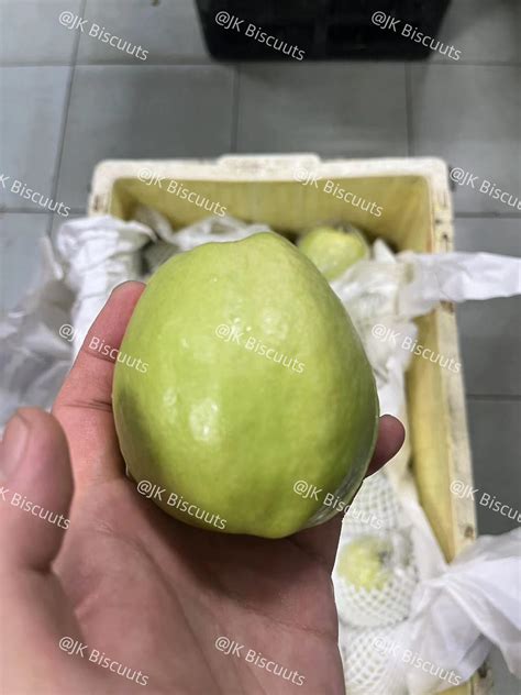 Jambu Batu Merah Pink Guava Red Fresh And Manis 鲜甜 红肉番石榴，红肉芭乐👍👍👍 Jk Biscuits Shopee Malaysia