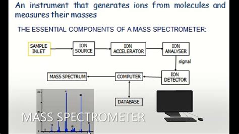 What Are The Components Of Mass Spectrometer At Dennis Chapman Blog